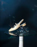 Carel Paris | Women Shoes | Official Store